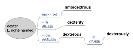 ambidextrous (adj) 양손을 다쓰는 , 매우 솜씨있는